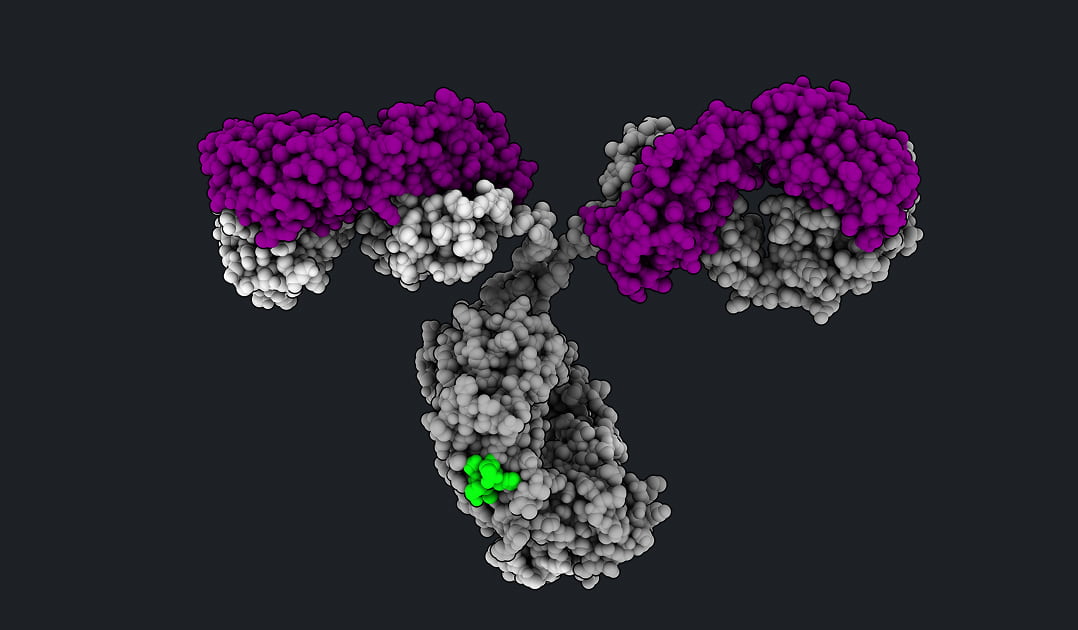 Myostatin (GDF8) - Vial | Next-Generation Pharma