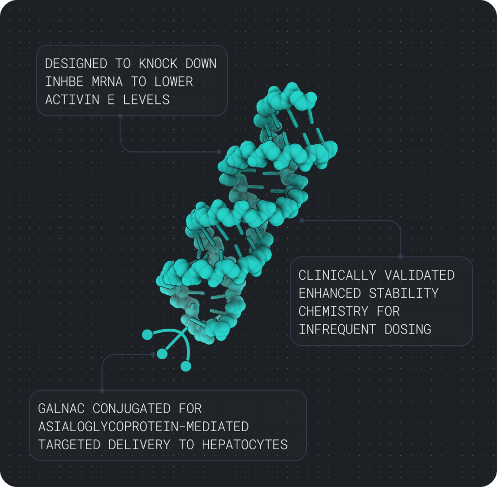 INHBE siRNA - Vial | Next-Generation Pharma